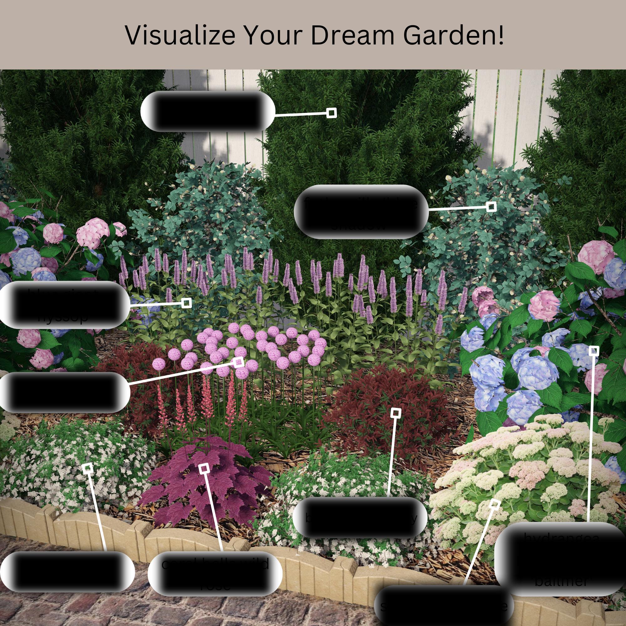 Hydrangea Garden Planting Plan for Pathways or Borders : Zones 5-9 ...