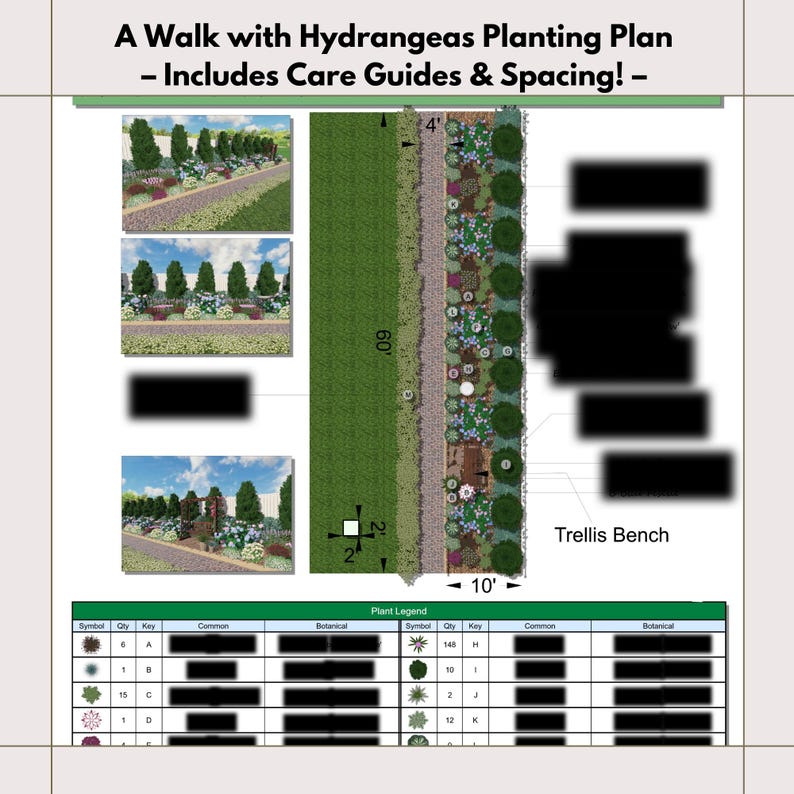 Hydrangea Garden Planting Plan for Pathways or Borders : Zones 5-9 ...