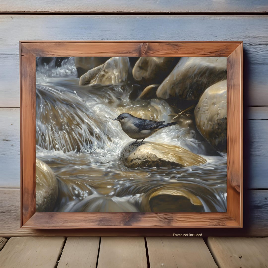 American Dipper Art Print, River Bird Wildlife Wall Art, Realistic ...