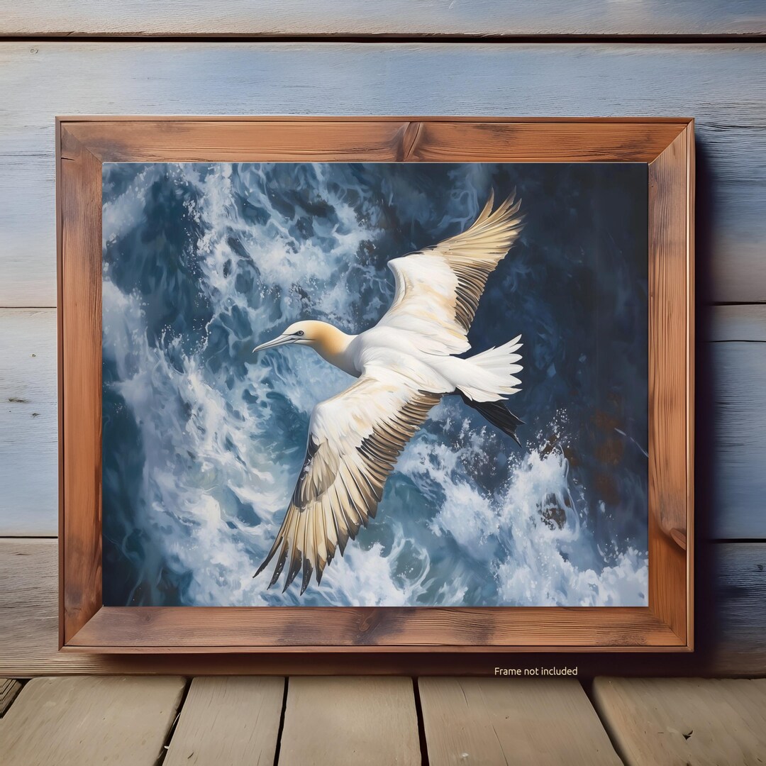 Northern Gannet Bird Art Print, Ocean Wildlife Wall Art, Coastal Nature ...