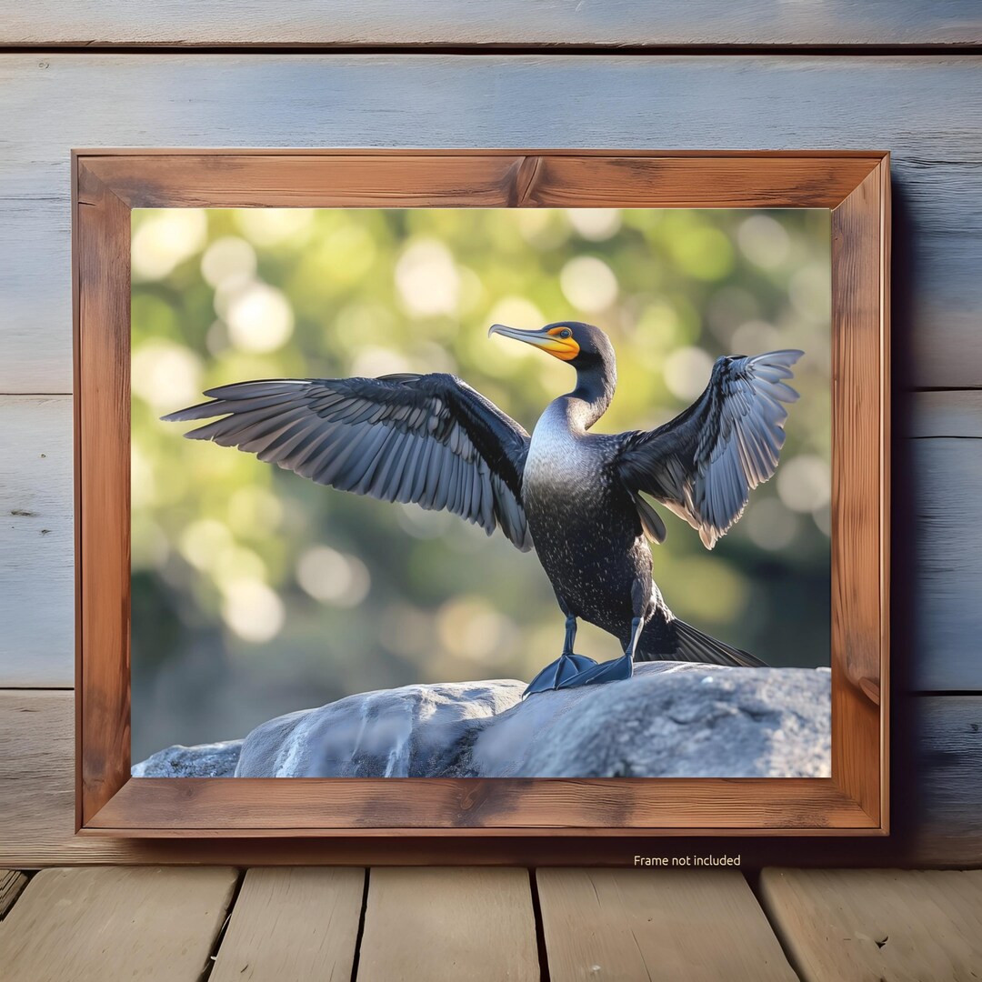 Double-crested Cormorant Bird Art Print, Nature Wildlife Wall Art ...