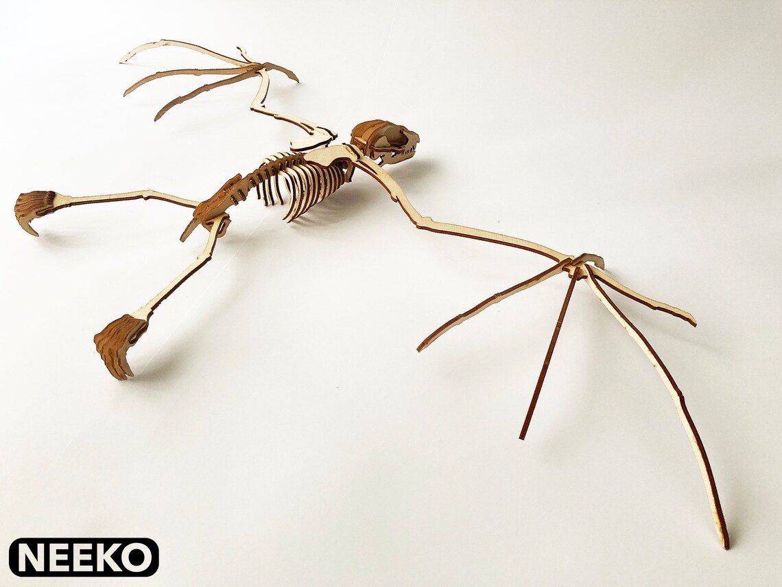 Bat Skeleton .dxf Digital File Template for Laser Cutting. - Etsy