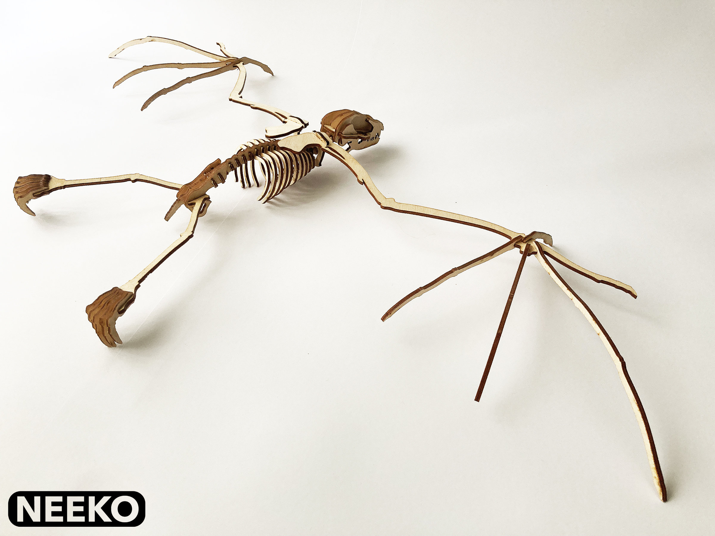 Bat Skeleton .dxf Digital File Template for Laser Cutting. - Etsy