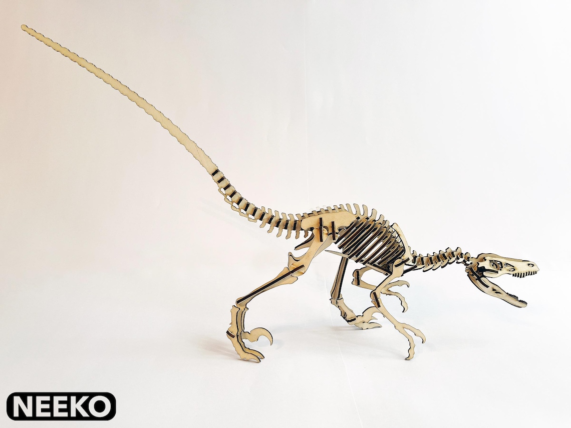 Velociraptor Skeleton .dxf Digital File Template for Laser Cutting - Etsy