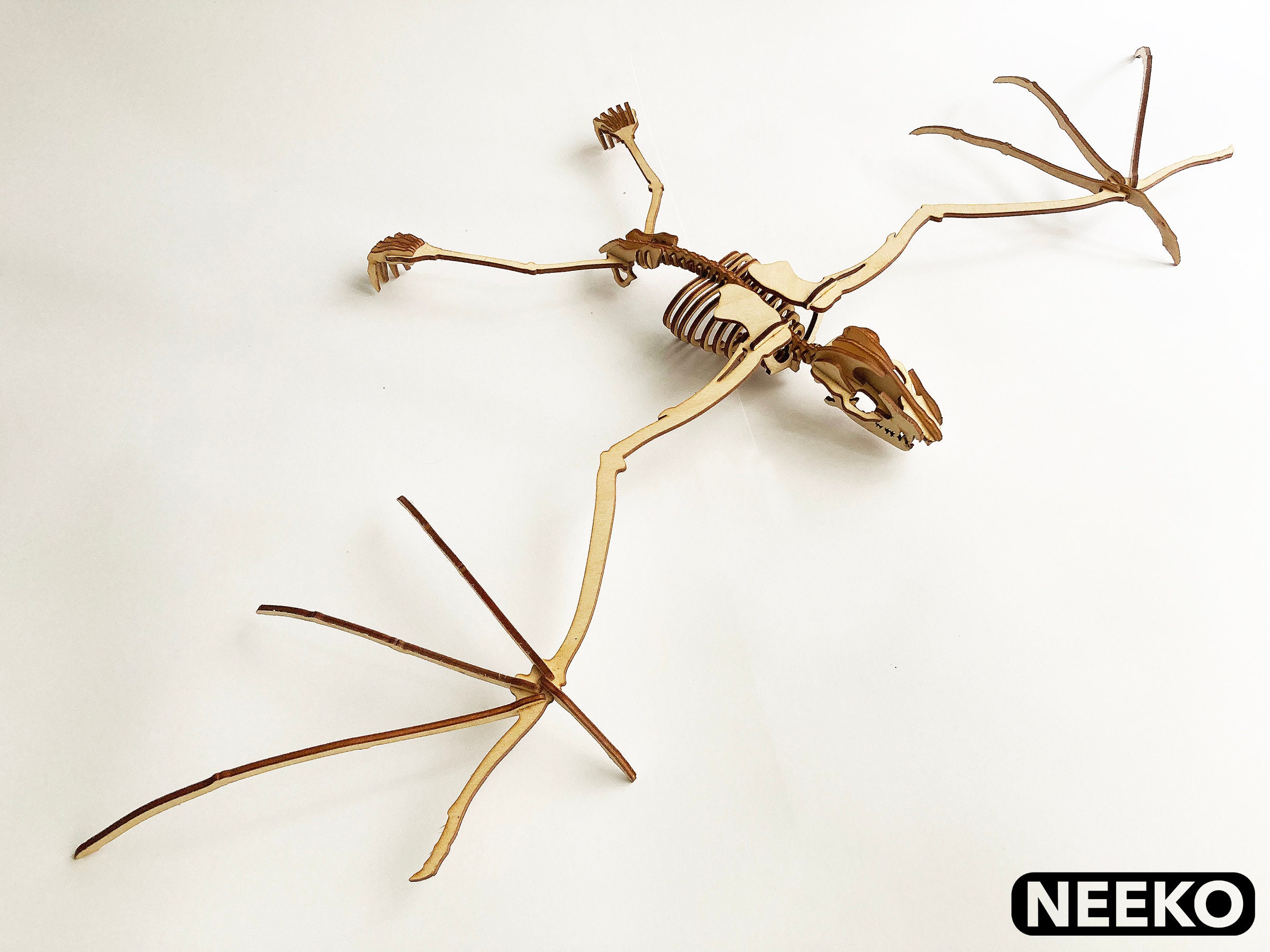 Bat Skeleton .dxf Digital File Template for Laser Cutting. - Etsy