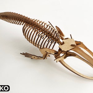 Right Whale Skeleton .dxf Digital File Template for Laser Cutting. - Etsy