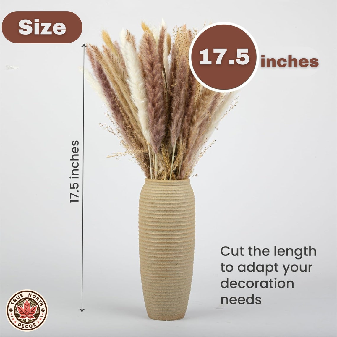 Dried Pampas Grass Bouquet Variety Pack: White/brown Pampas, Grass ...