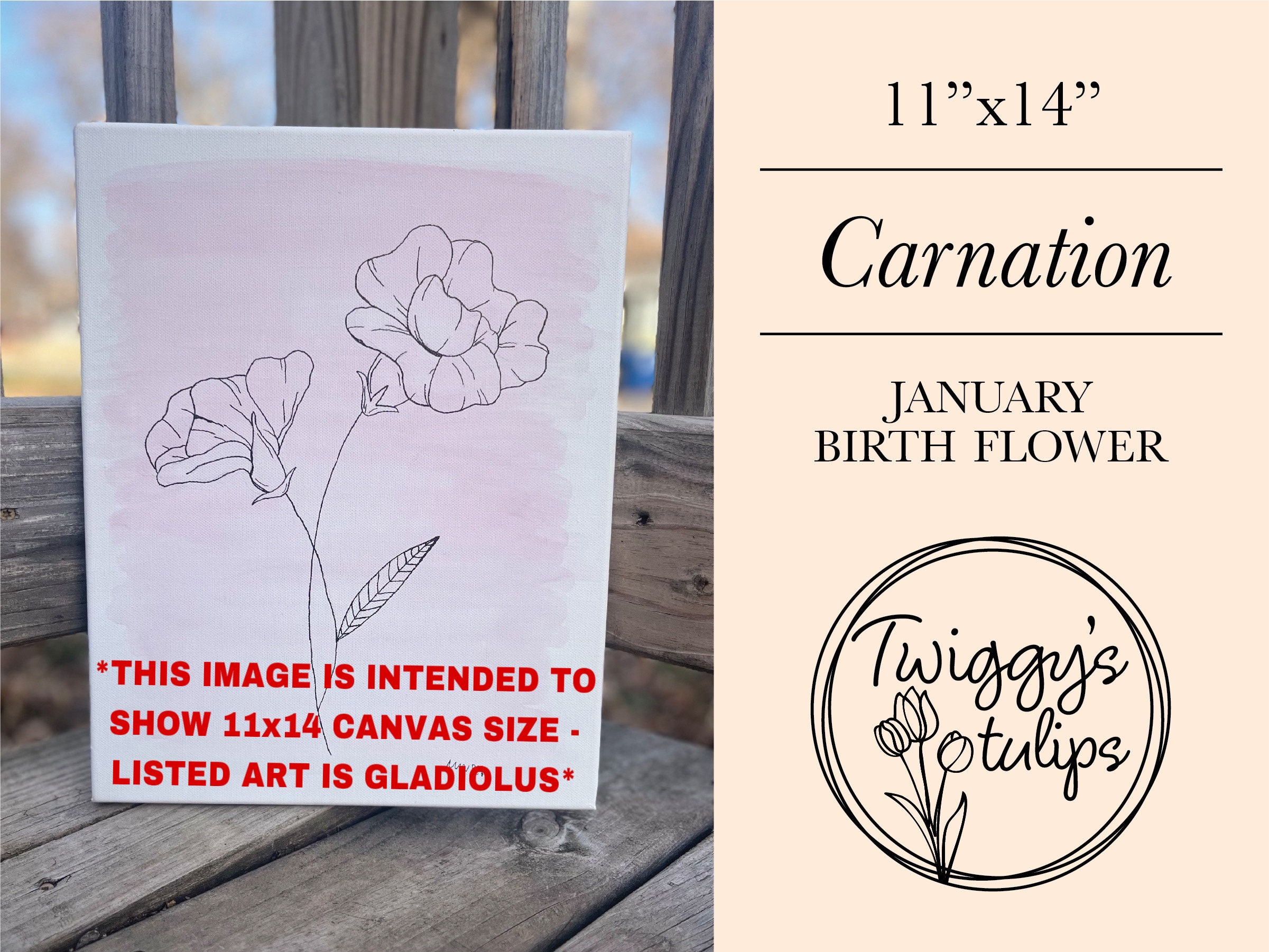August Birth Flower Gladiolus Line Drawing on Watercolor Background ...