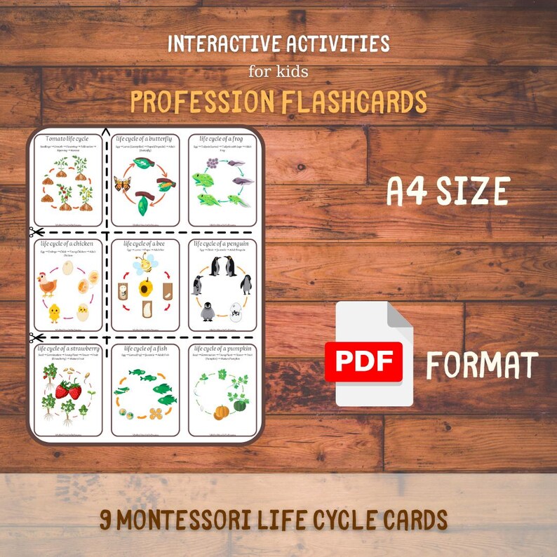 9 Montessori Life Cycle Cards for Kids – Learning Tools, Nature, Plants ...
