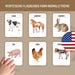 13 Farm Animals Cards | Montessori Flash Card Real Pictures Cards ...