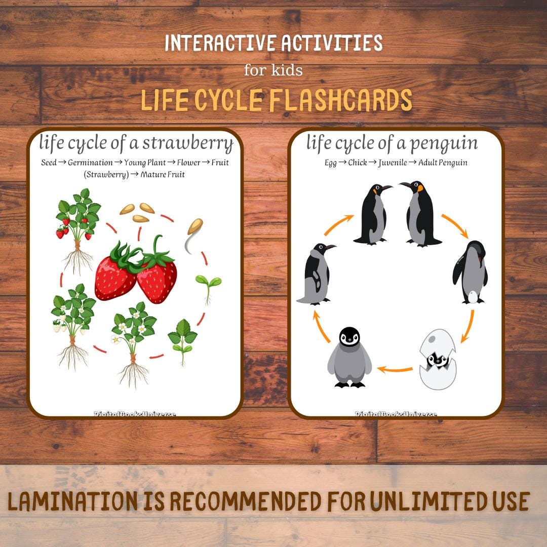 9 Montessori Life Cycle Cards for Kids – Learning Tools, Nature, Plants ...