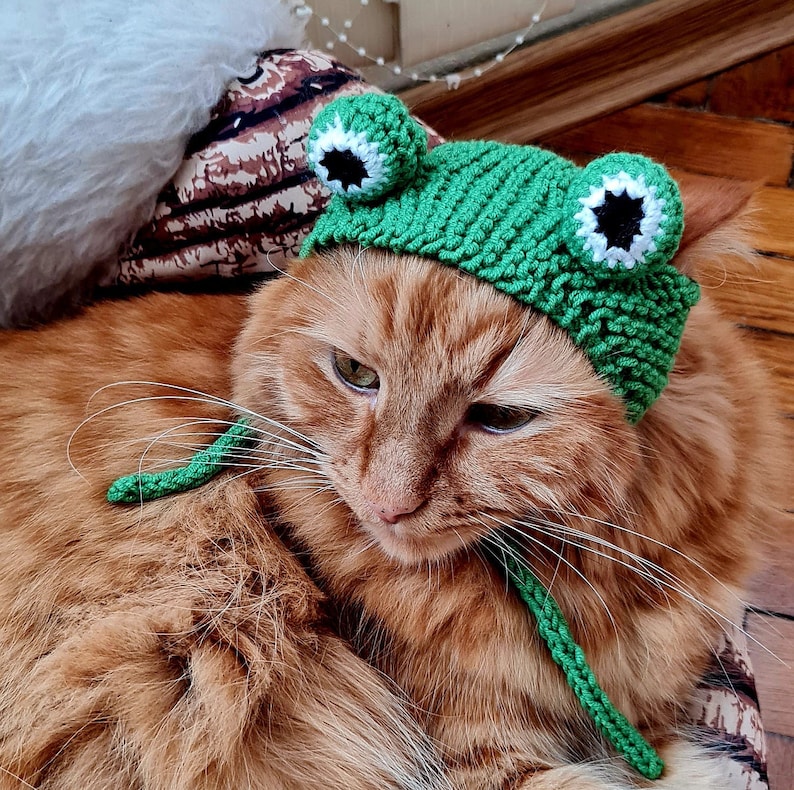 Hat for Cat, Frog Hat for Cat, Knitted Hat for Cat - Etsy