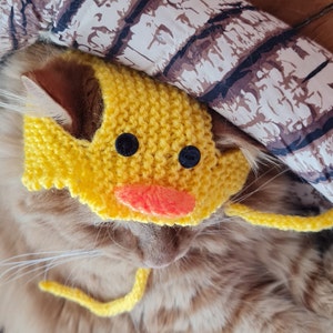 Hat for Cat, Duck Hat for Cat - Etsy