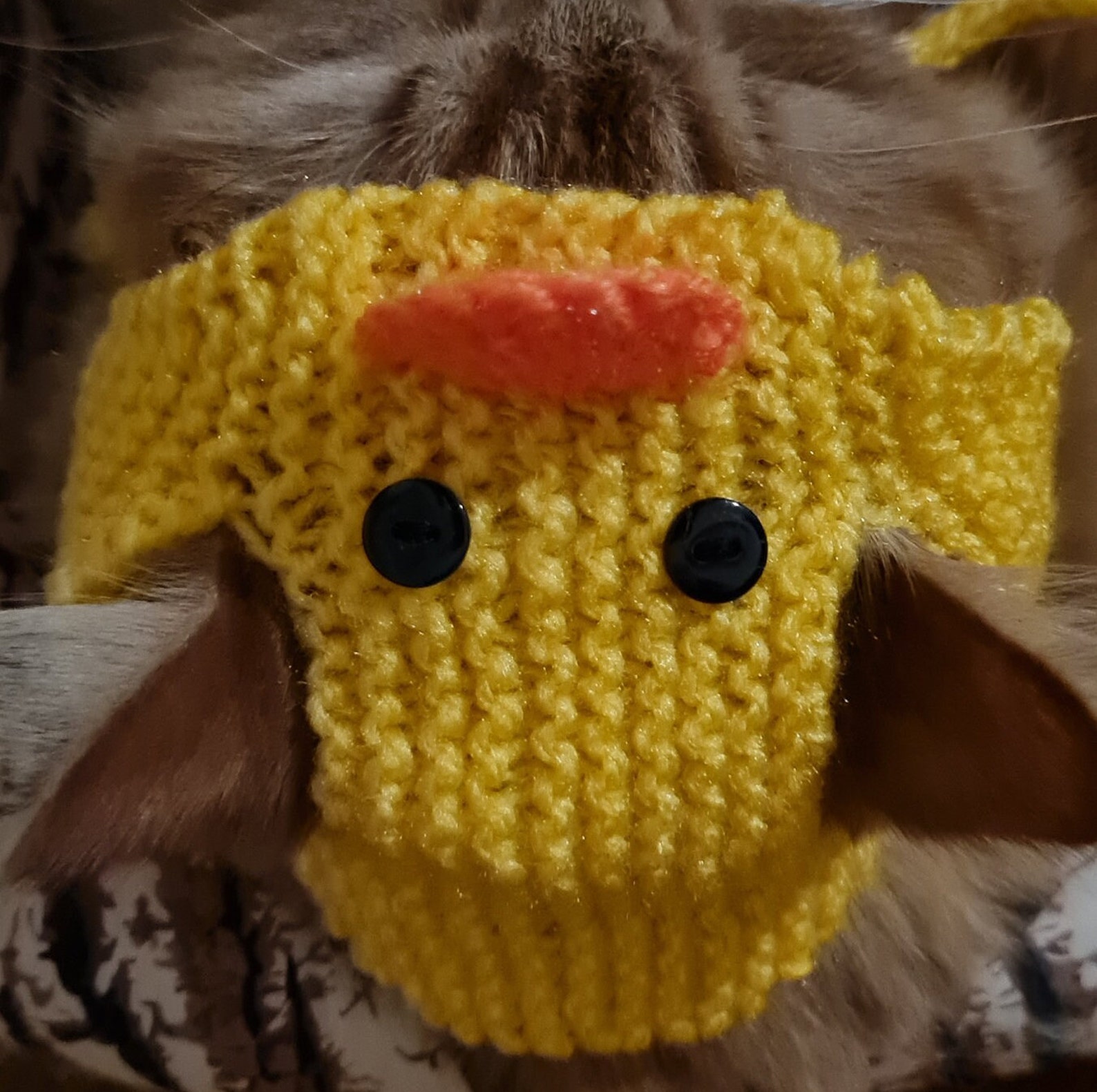 Hat for Cat, Duck Hat for Cat - Etsy