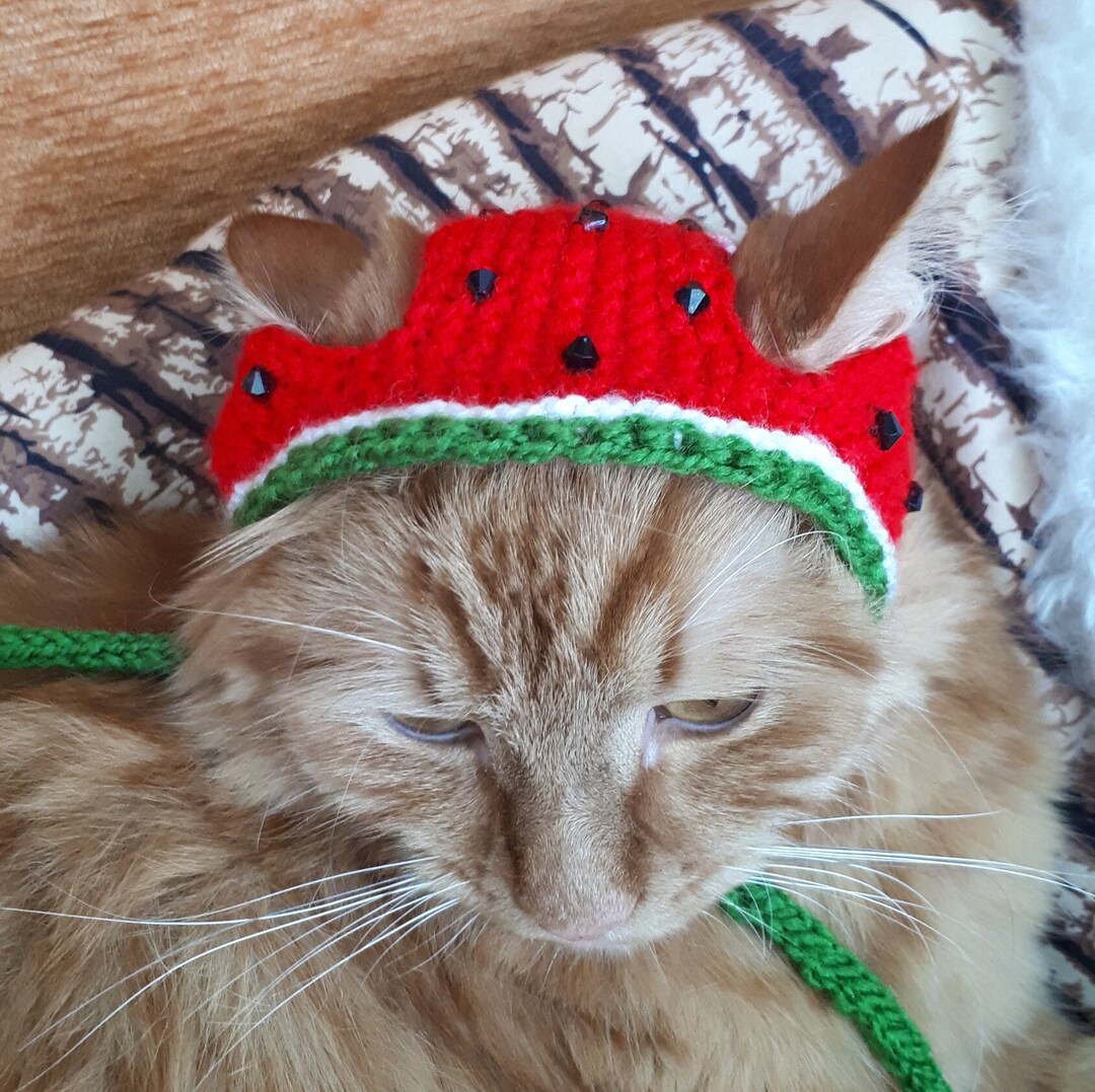 Hat for Cat, Watermelon Hat for Cat, Knitted Hat for Cat - Etsy