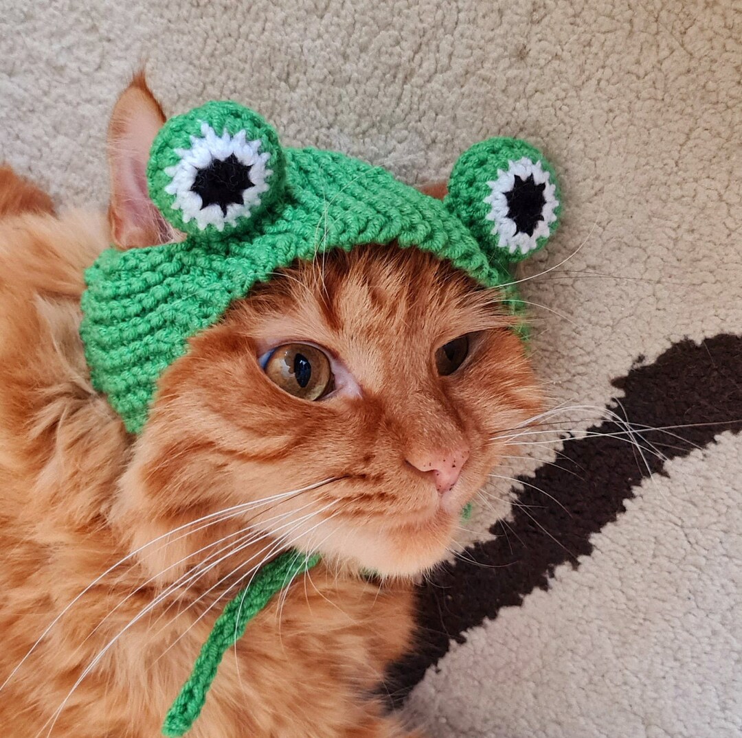 Hat for Cat, Frog Hat for Cat, Knitted Hat for Cat - Etsy