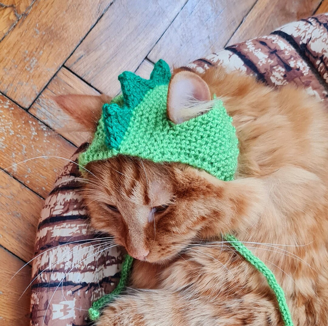 Hat for Cat, Dinosaur Hat for Cat, Dragon Hat for Cat - Etsy