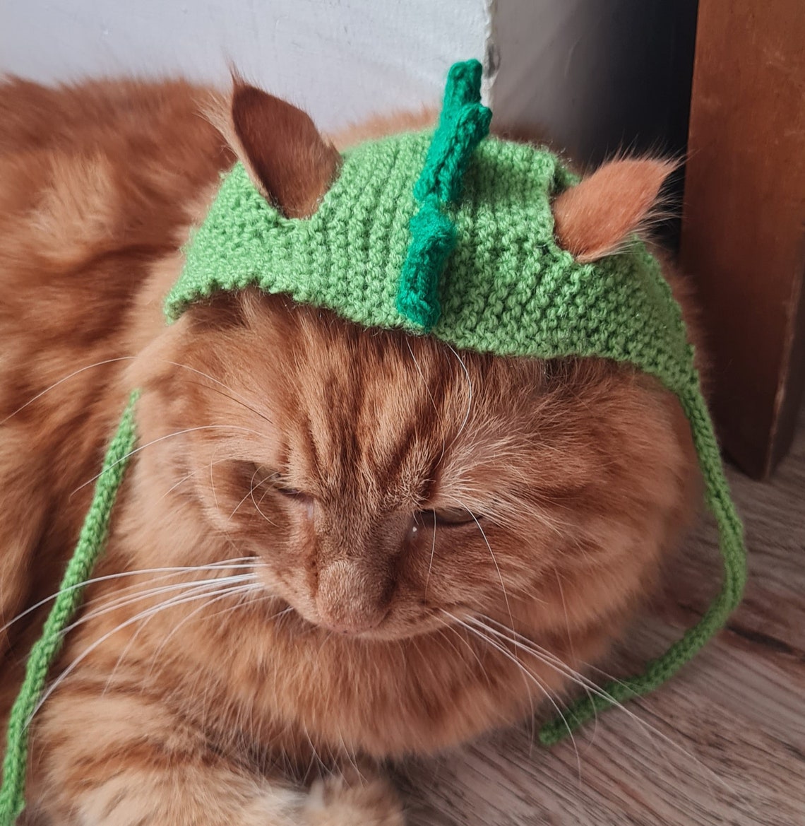 Hat for Cat, Dinosaur Hat for Cat, Dragon Hat for Cat - Etsy