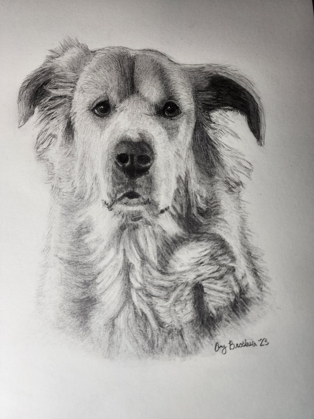 Custom Hand Drawn Graphite Portraits - Etsy