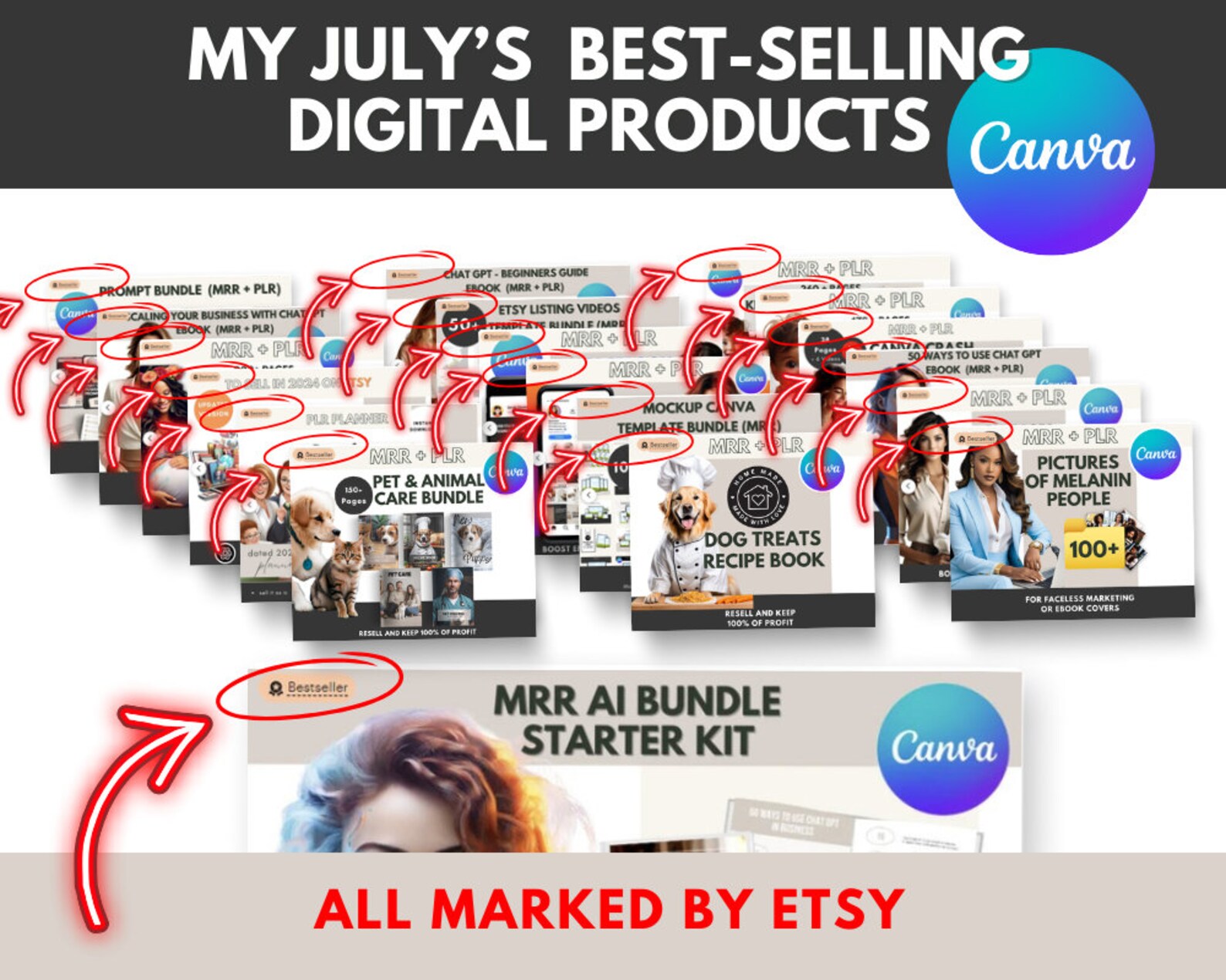 Best-selling Digital Product Mega Bundle: MRR & PLR Vault (digital ...