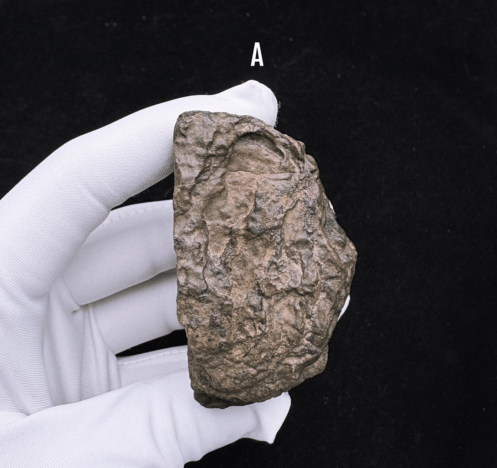 Rare Miracle Stone From Egyptian Divination Stone for Grounding ...