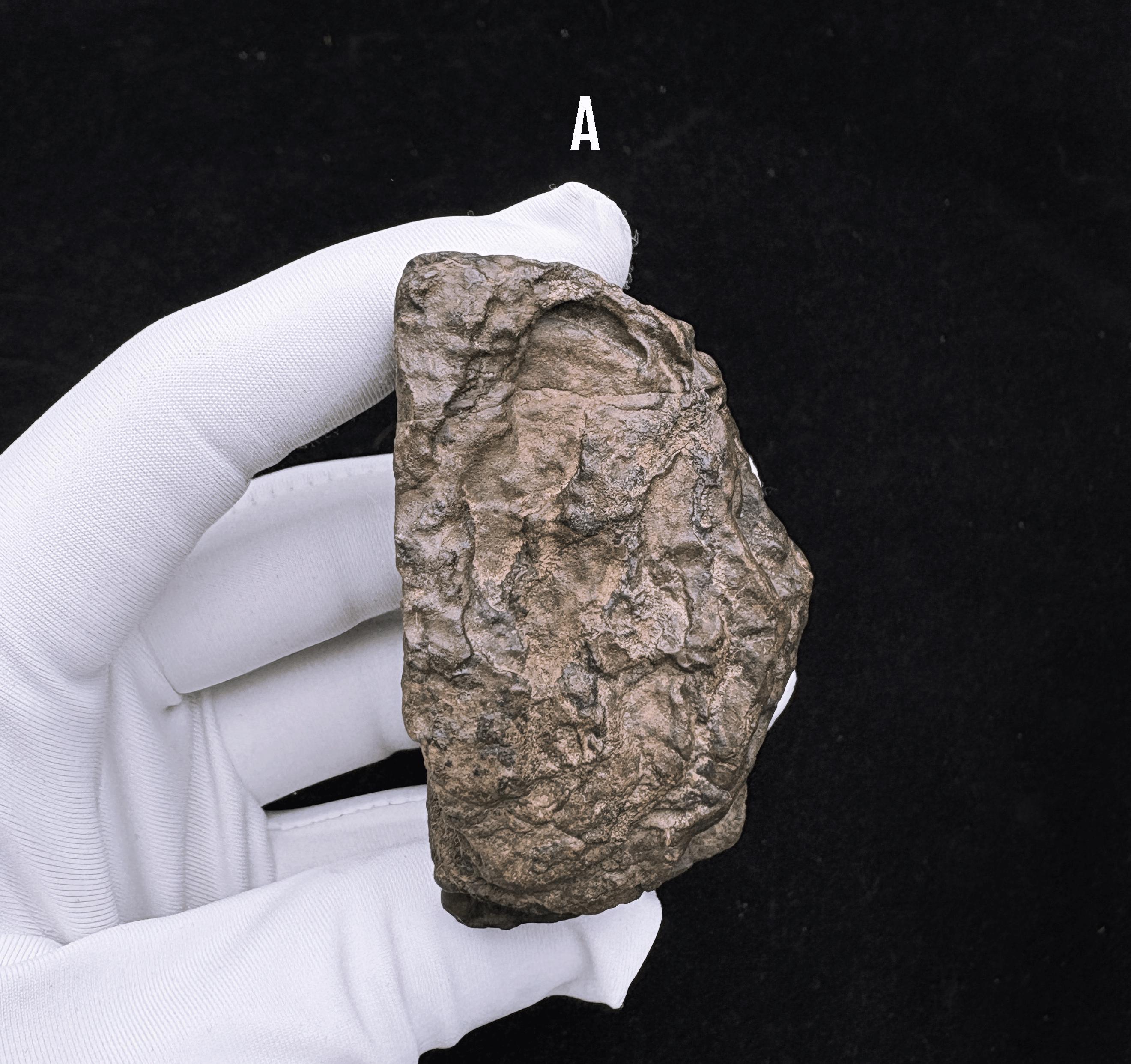 Rare Miracle Stone From Egyptian Divination Stone for Grounding ...