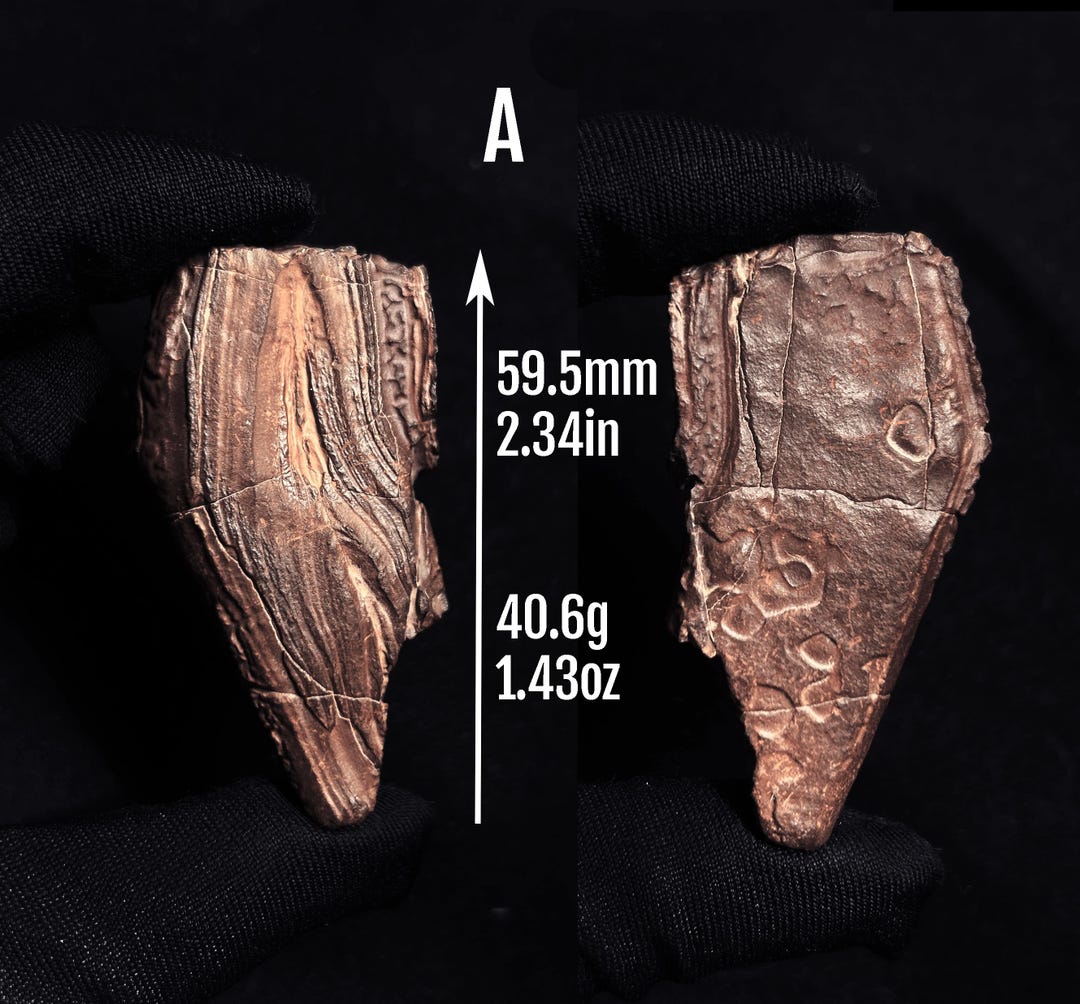 Rare Miracle Stone From Egyptian Divination Stone for Grounding ...