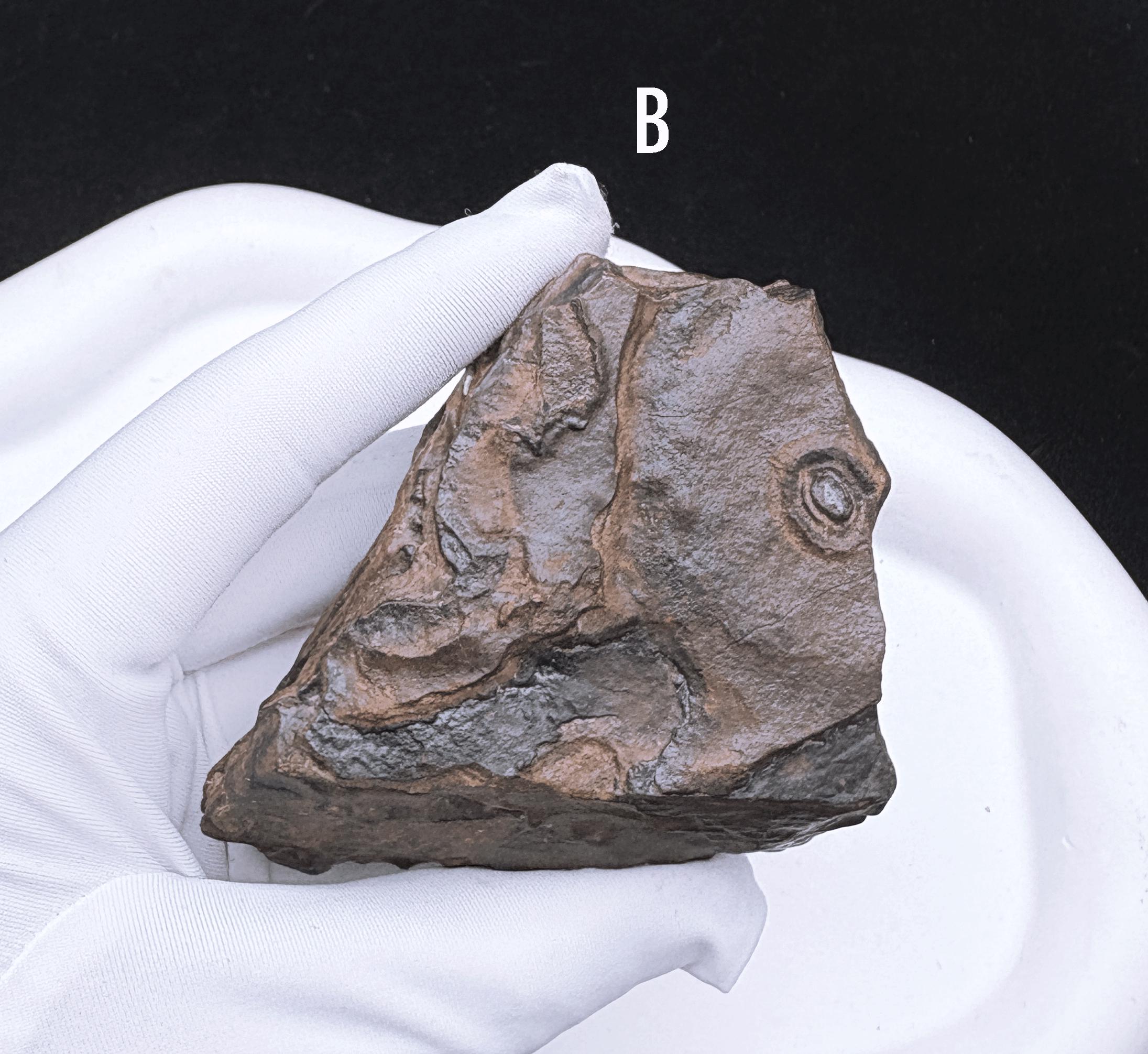 Rare Miracle Stone From Egyptian Divination Stone for Grounding ...