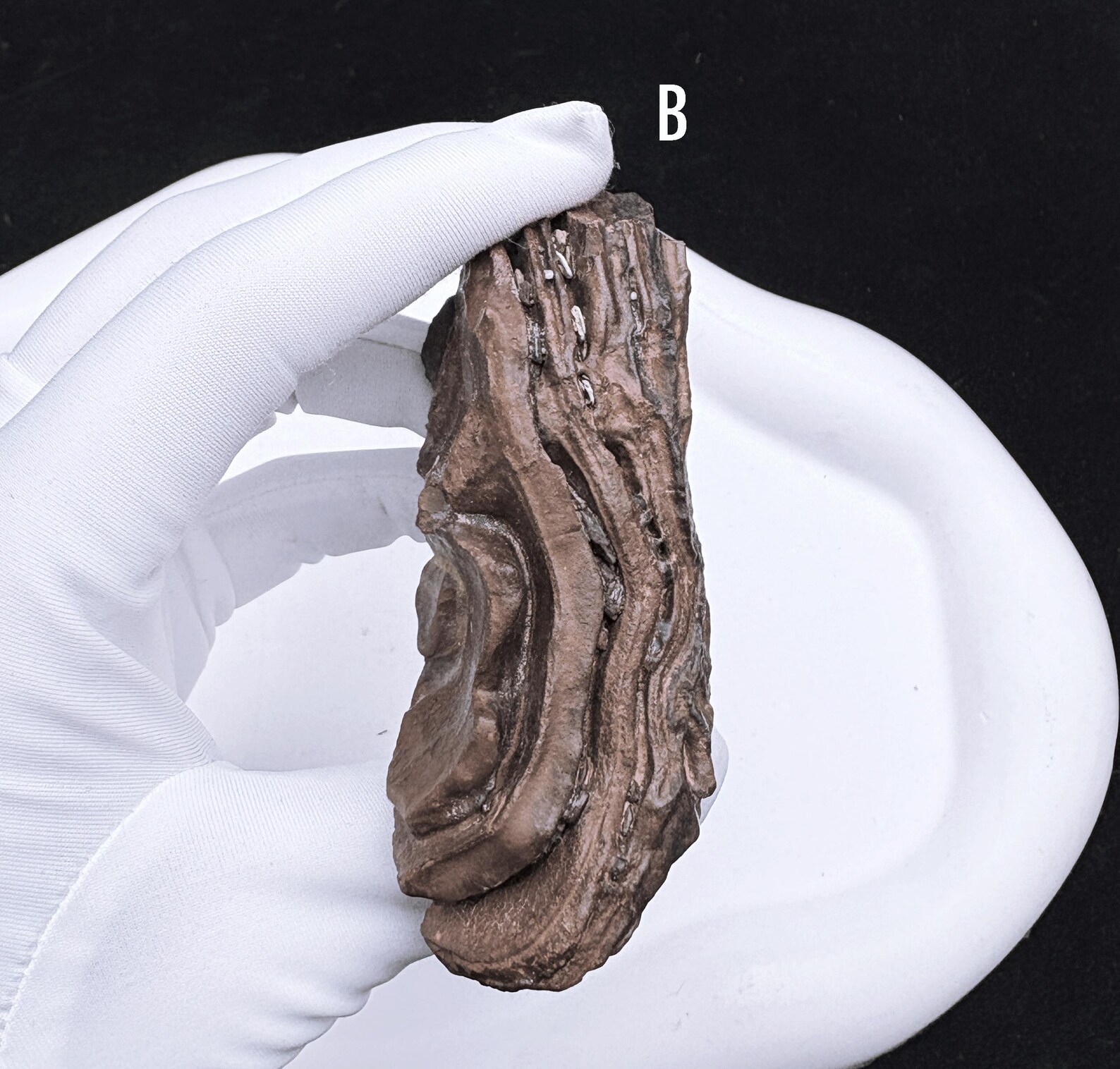 Rare Miracle Stone From Egyptian Divination Stone for Grounding ...