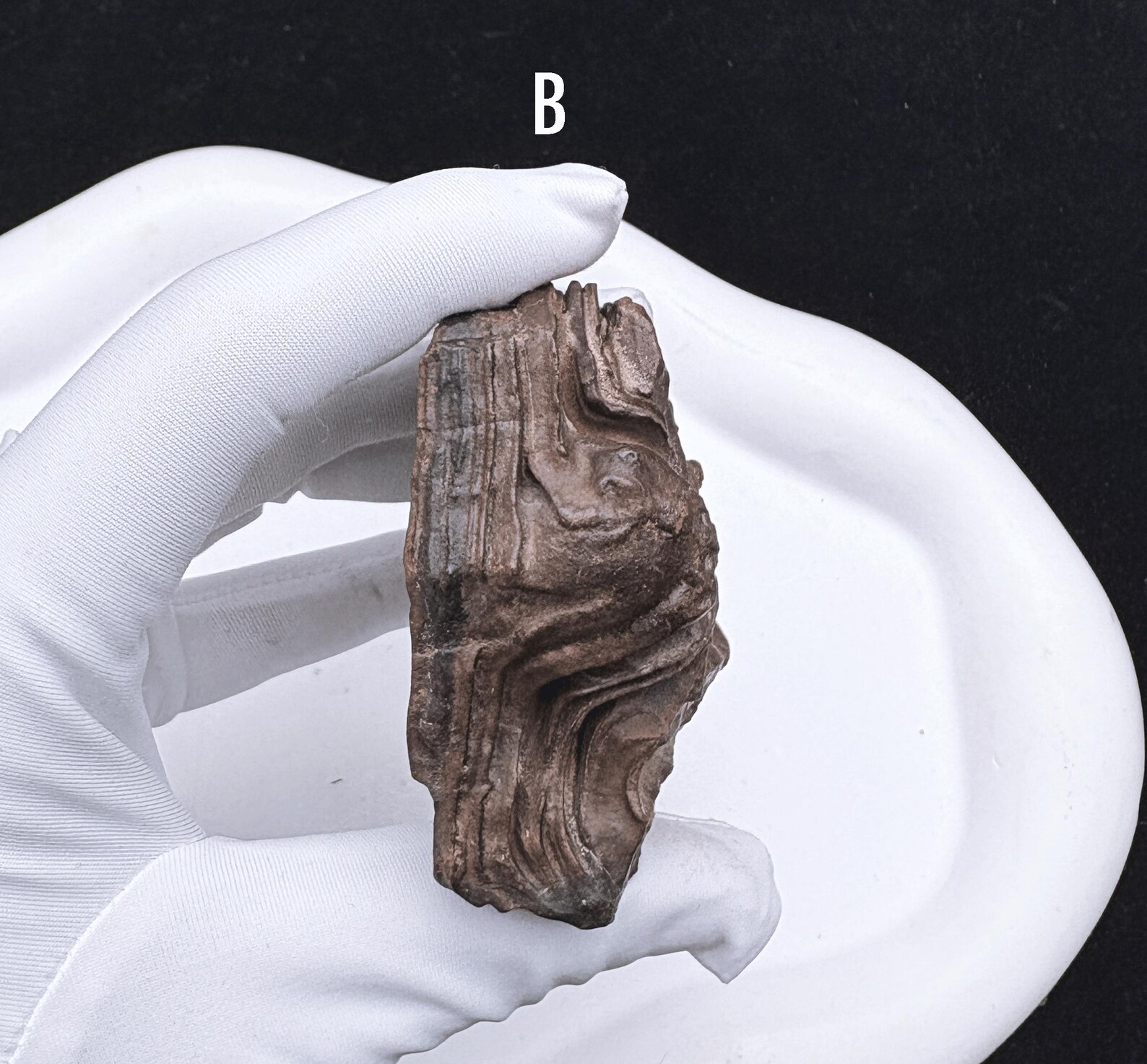 Rare Miracle Stone From Egyptian Divination Stone for Grounding ...