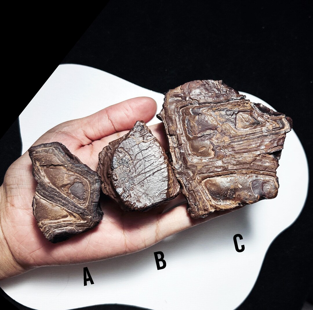 Rare Miracle Stone From Egyptian Divination Stone for Grounding ...