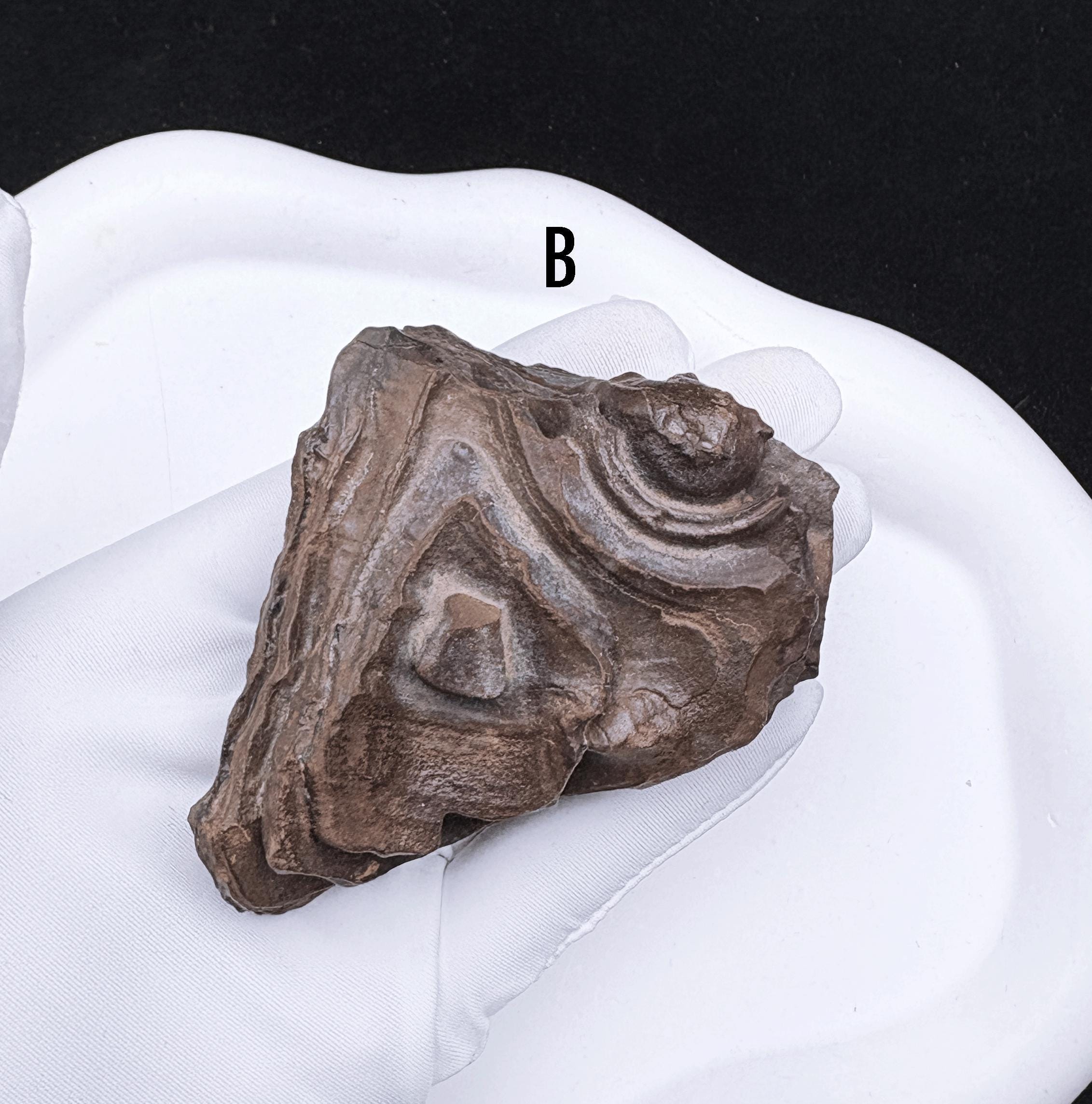 Rare Miracle Stone From Egyptian Divination Stone for Grounding ...