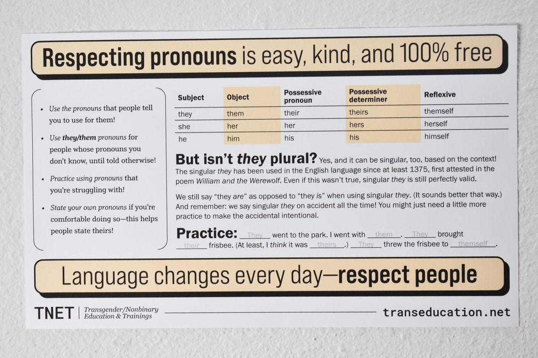 Respecting They/them Pronouns Poster - Etsy