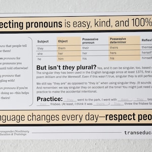 Respecting They/them Pronouns Poster - Etsy