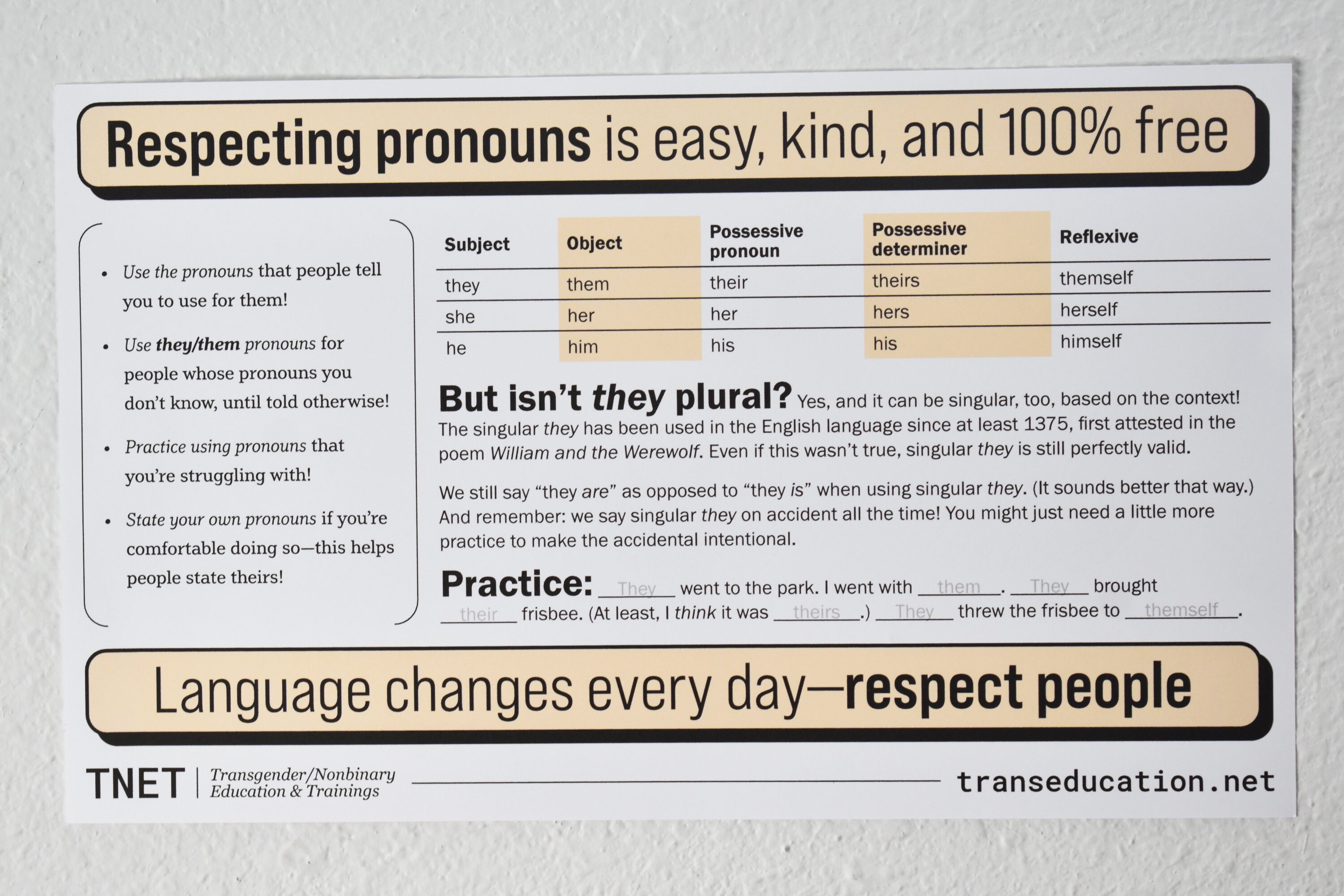 Respecting They/them Pronouns Poster - Etsy
