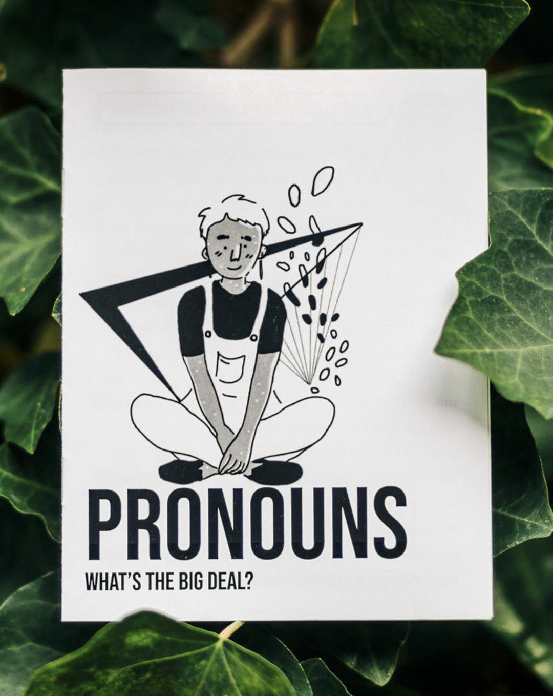 Pronouns: What's the Big Deal? (physical Zine) - Etsy