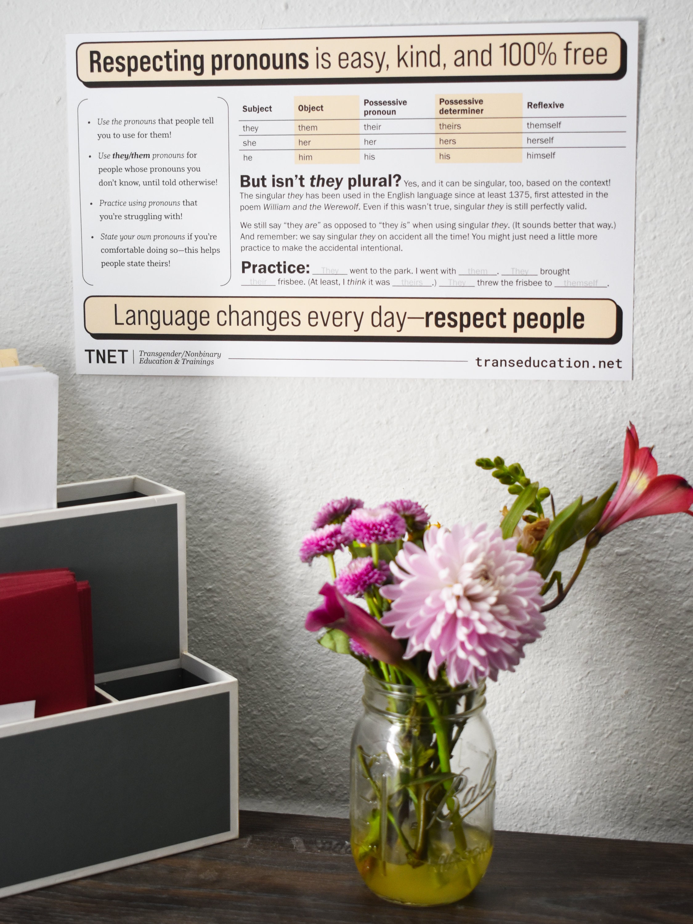 Respecting They/them Pronouns Poster - Etsy