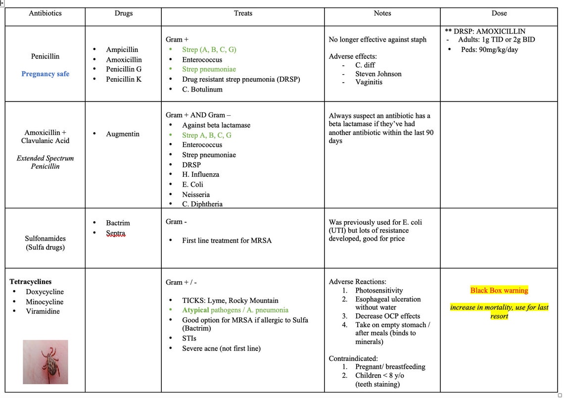 Nurse Practitioner Pharmacology Notes - ANCC/ AANP Boards Review - Etsy