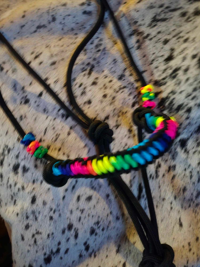 Rope Halter With Rainbow Braid / Paracord Halter /clinician - Etsy