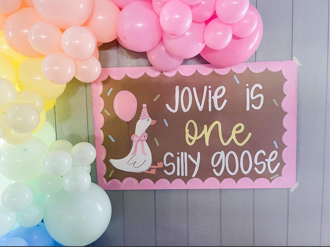One Silly Goose Party | Goose Theme Party | One Silly Goose 1st ...