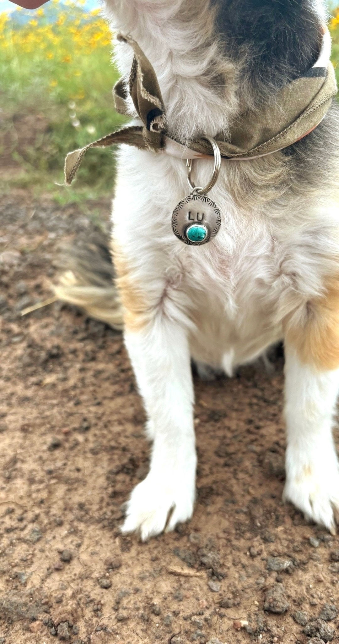 Turquoise Dog Tag | Made to Order | Southwest Pet Tag | Boho Dog Tag - Etsy