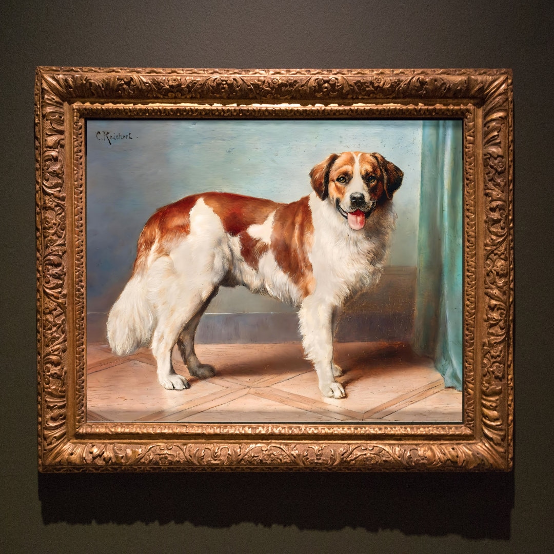 St Bernard Painting Carl Reichert Digital Art Print St Bernard Oil ...