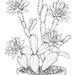 Easter Cactus Coloring Page, Coloring Page, Cactus Coloring, Flower ...