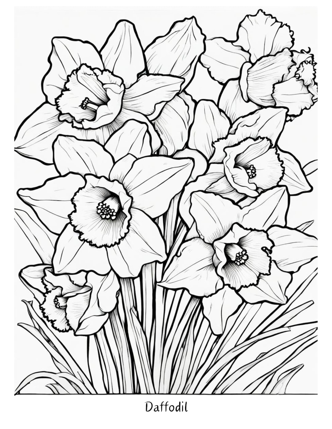 Daffodil Coloring Page, Coloring Page, Flowers, Flower Coloring ...
