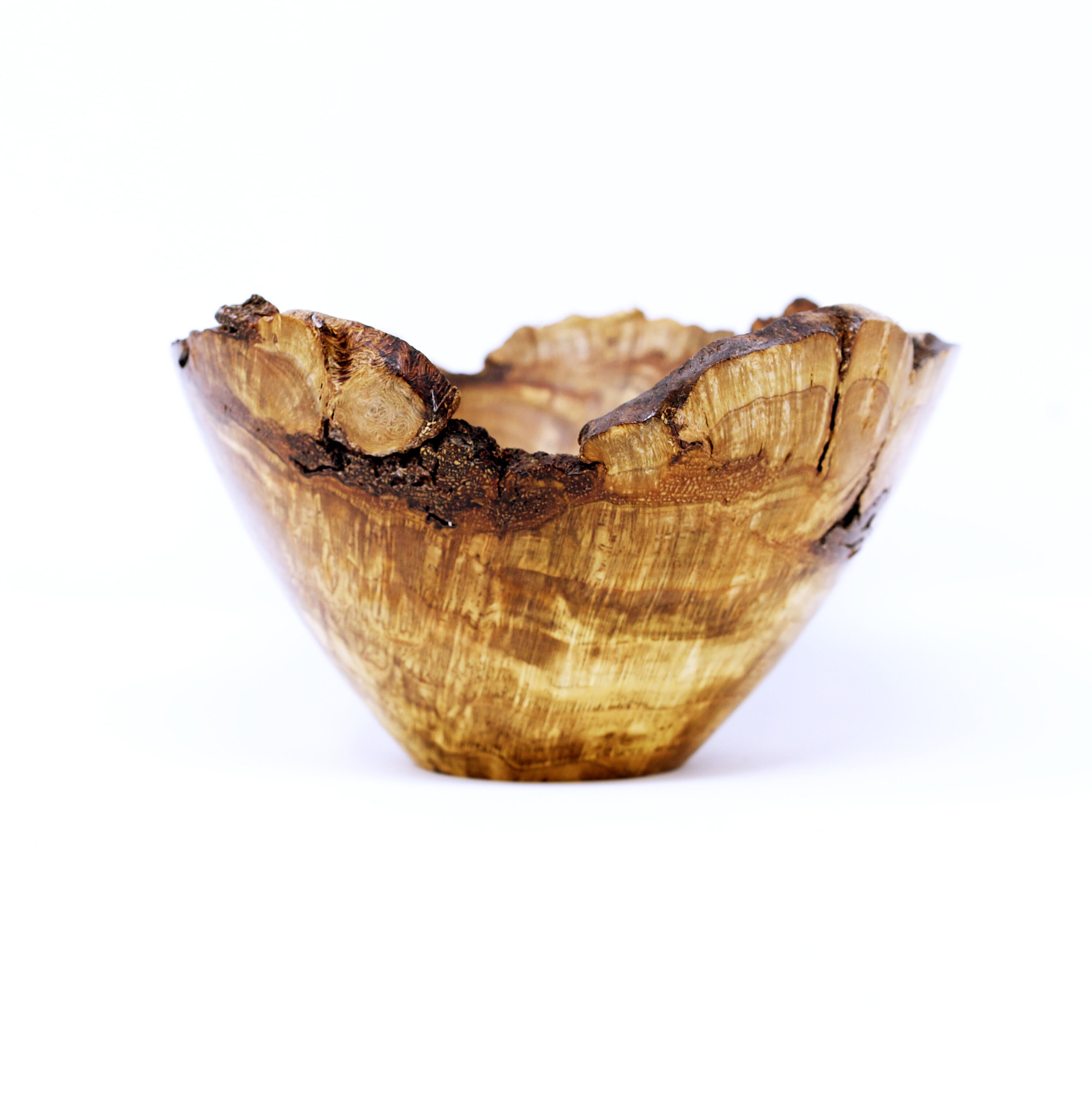 Unique Live Edge Red Oak Burl Bowl Handcrafted Decorative Centerpiece ...