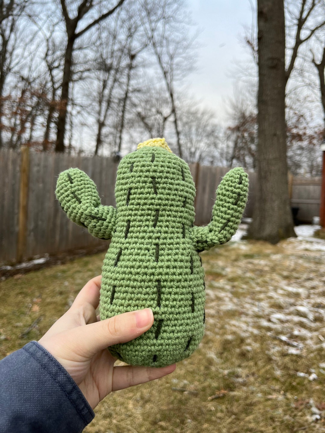 Crochet Cactus Cat Nip Toy Kicker - Etsy
