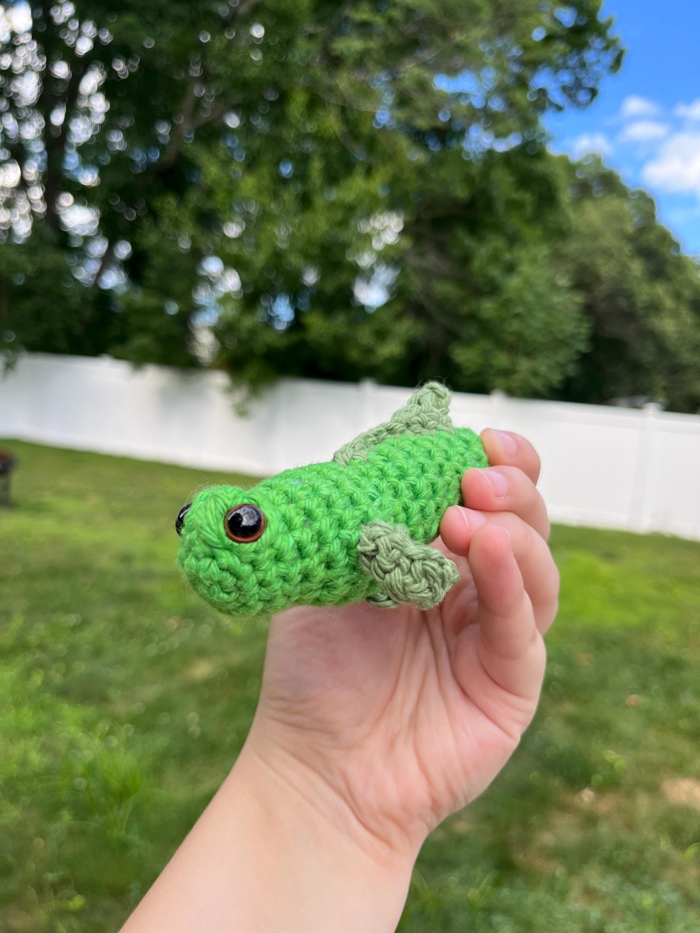 Crochet Mudskipper PDF Pattern - Etsy