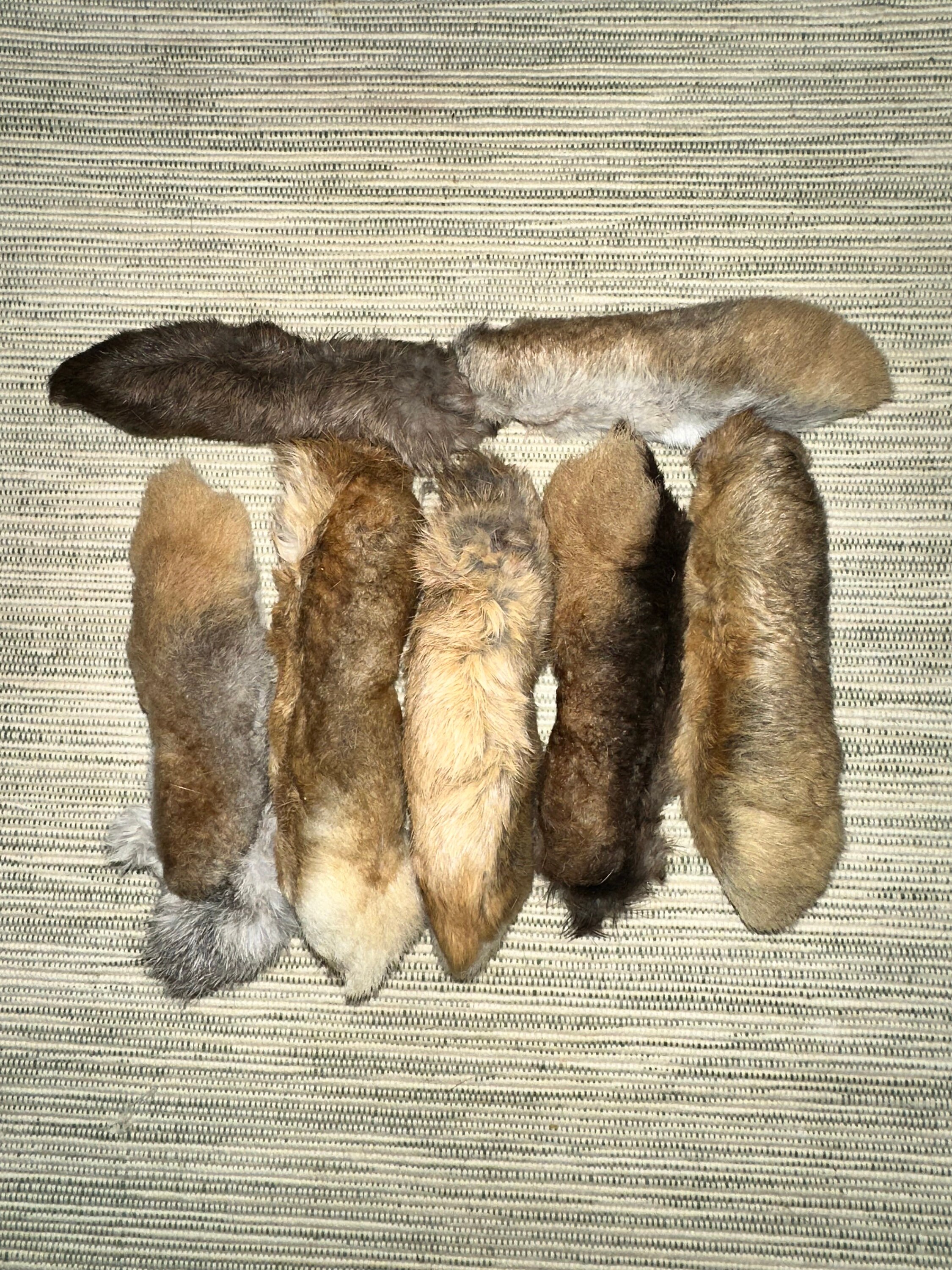 100% All-natural Dehydrated Rabbit Feet Dog Treats Large - Etsy