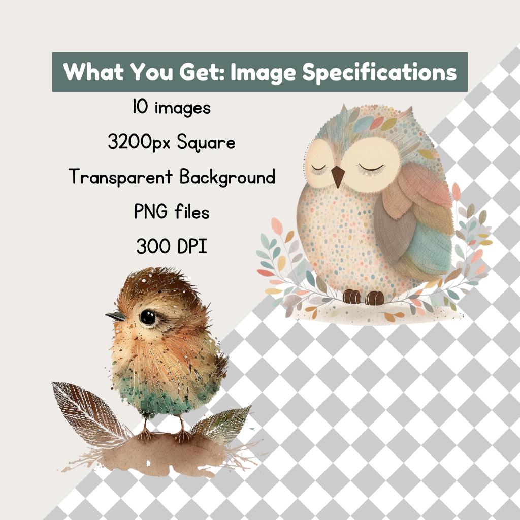 Baby Birds Clipart | Boho Cute Animals | Nursery Elements | Kids Books ...