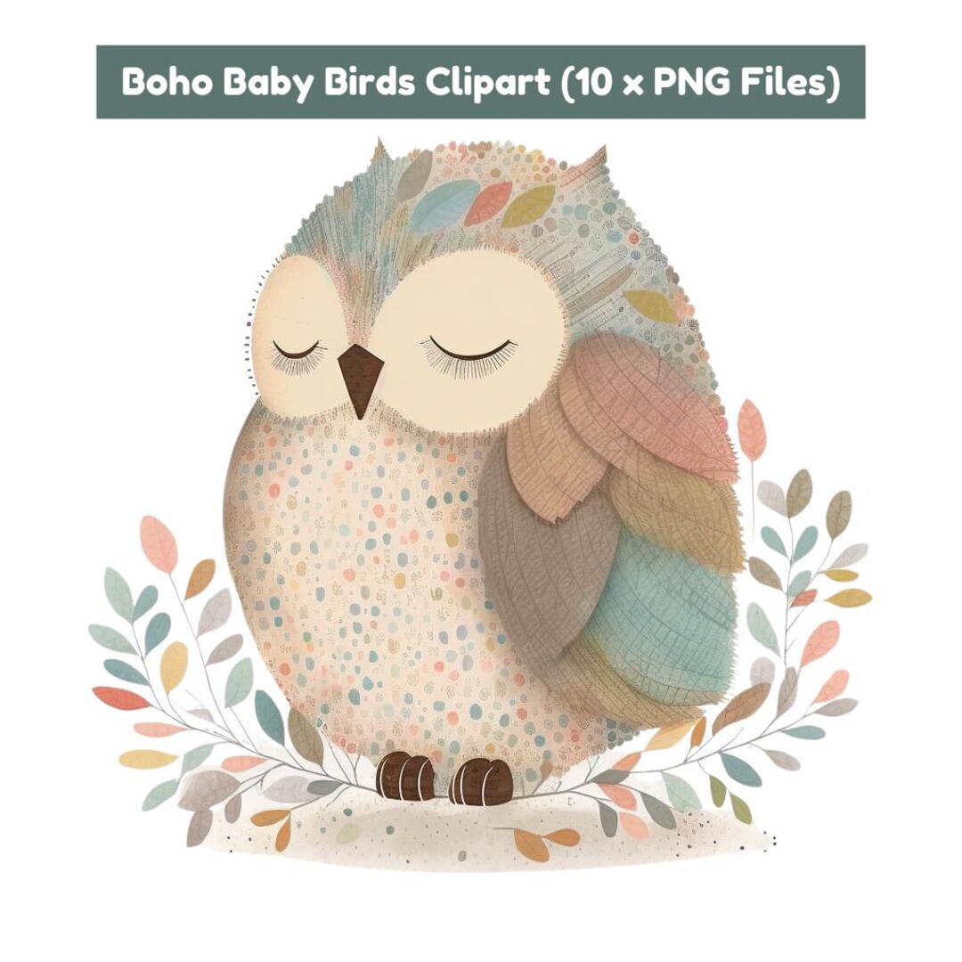 Baby Birds Clipart | Boho Cute Animals | Nursery Elements | Kids Books ...